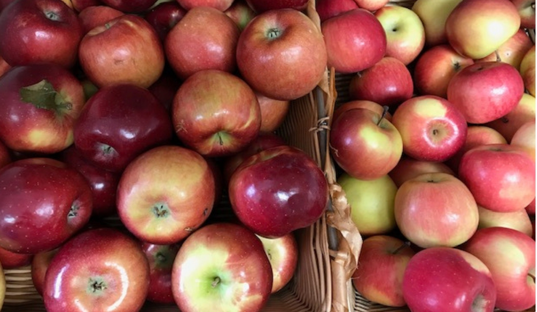 windsorterracefoodcoop.com – Community-owned food cooperative created ...